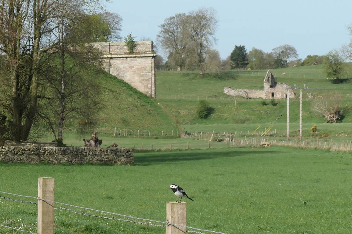 Building the Sandilands Viaduct. – Clydesdale's Heritage